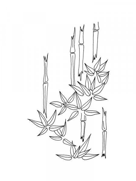 Bamboo coloring pages
