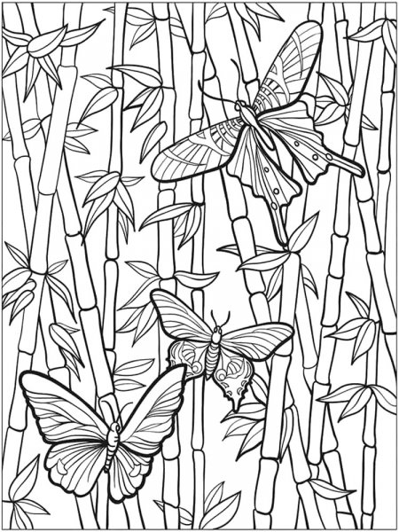 Bamboo coloring pages