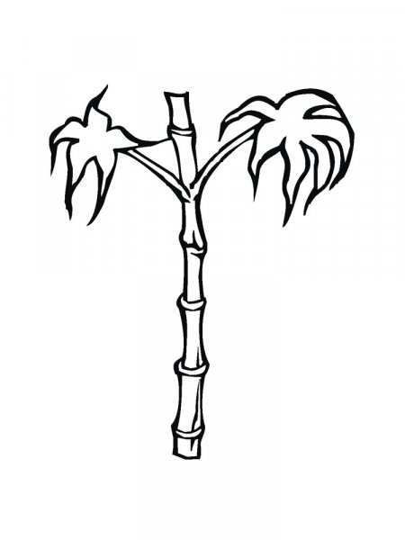Bamboo coloring pages