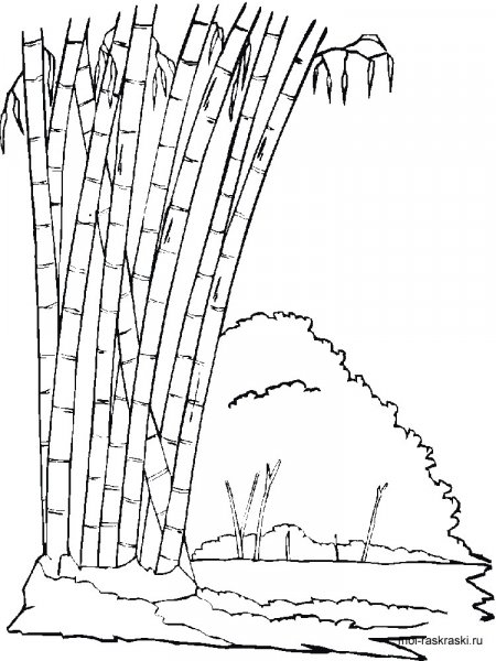 Bamboo coloring pages