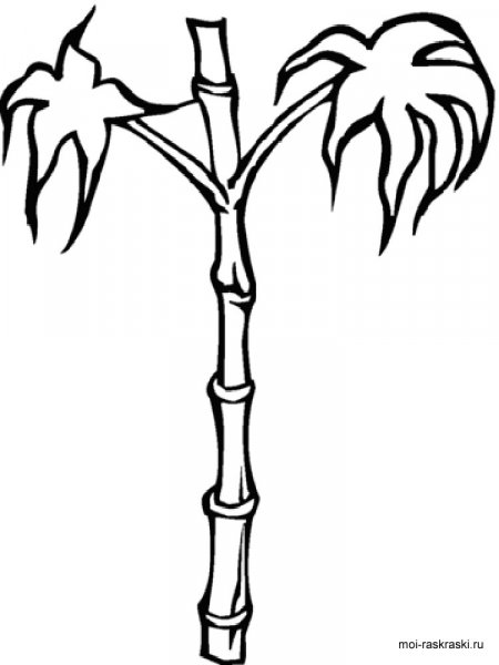 Bamboo coloring pages