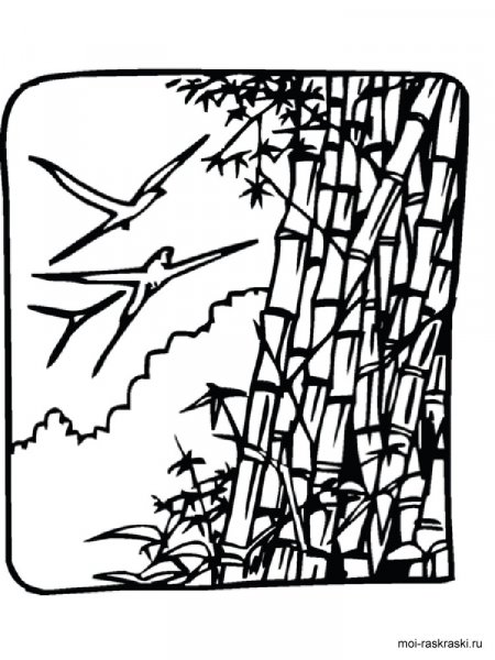 Bamboo coloring pages