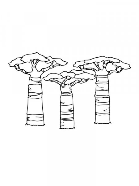 Baobab coloring pages