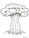 Baobab coloring pages