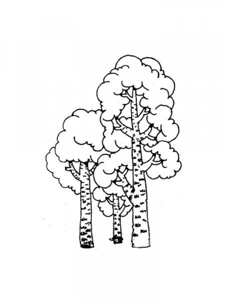 Birch Tree coloring pages