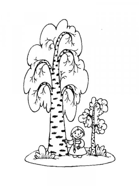 Birch Tree coloring pages