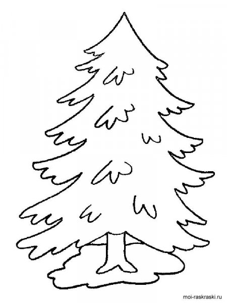 Fir Tree coloring pages