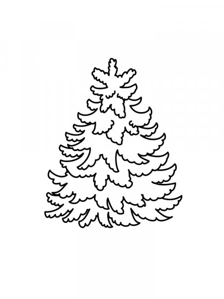 Fir Tree coloring pages