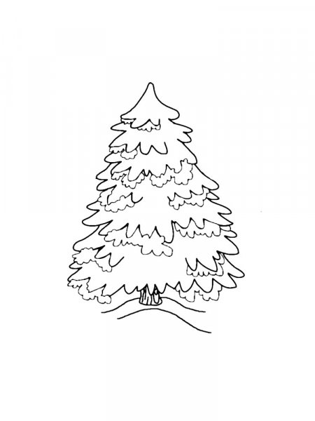 Fir Tree coloring pages
