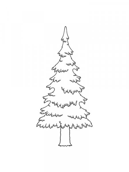Fir Tree coloring pages