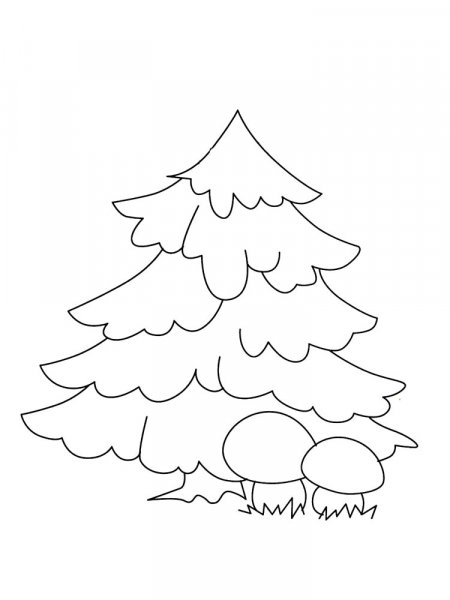 Fir Tree coloring pages