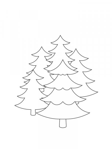 Fir Tree coloring pages