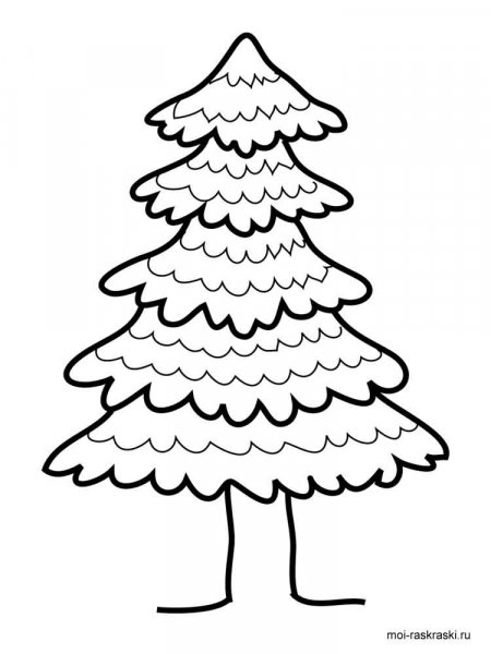Fir Tree coloring pages