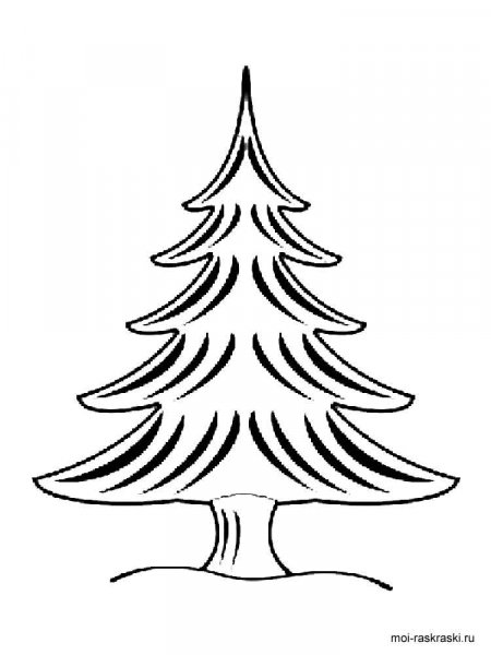 Fir Tree coloring pages