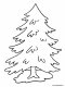Fir Tree coloring pages