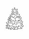 Fir Tree coloring pages