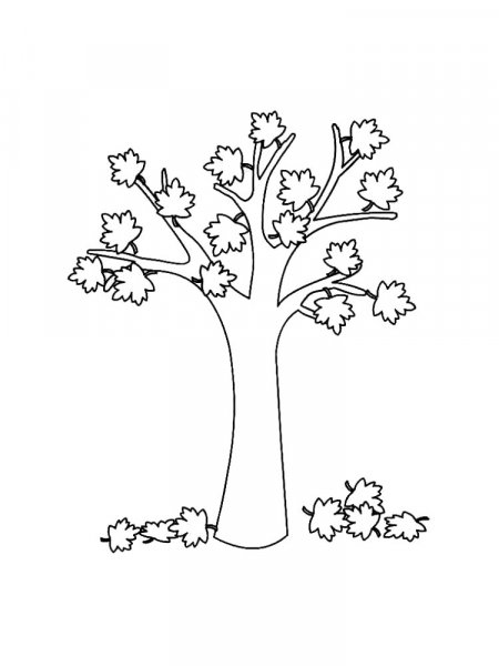 Maple coloring pages