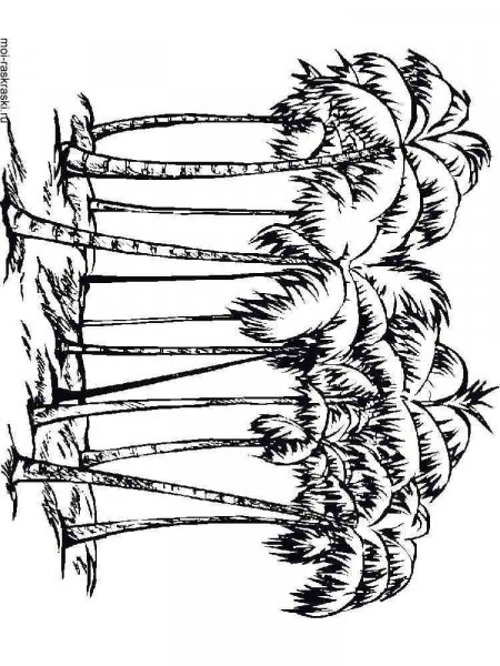 Palm coloring pages