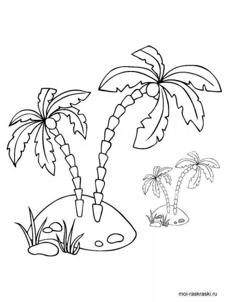 Palm coloring pages