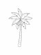 Palm coloring pages
