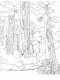 Sequoia coloring pages